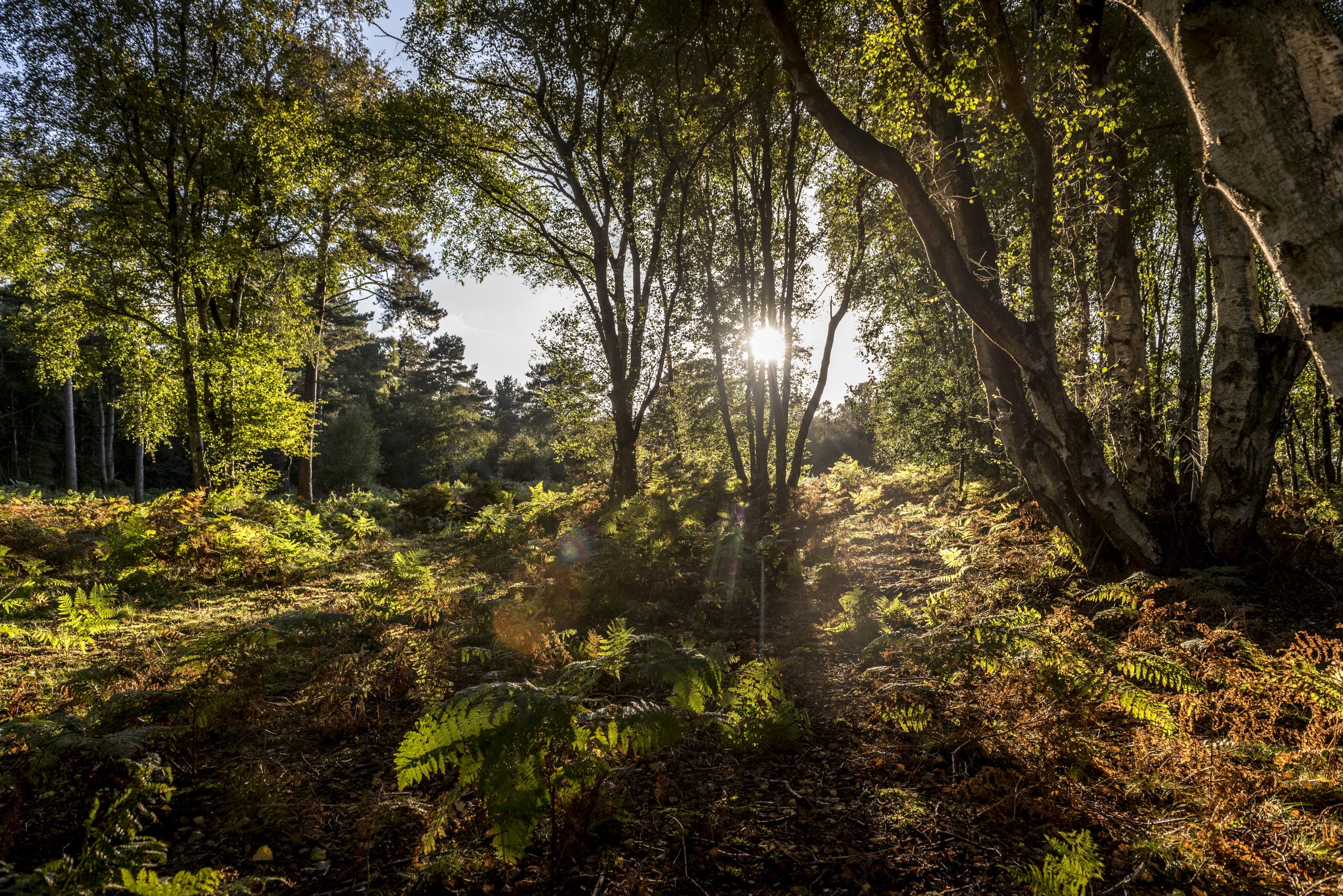 Popular Norfolk Locations - Norfolk Screen